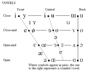 Phonology and Phonetics 101: Vowels pt 1 – Replicated Typo